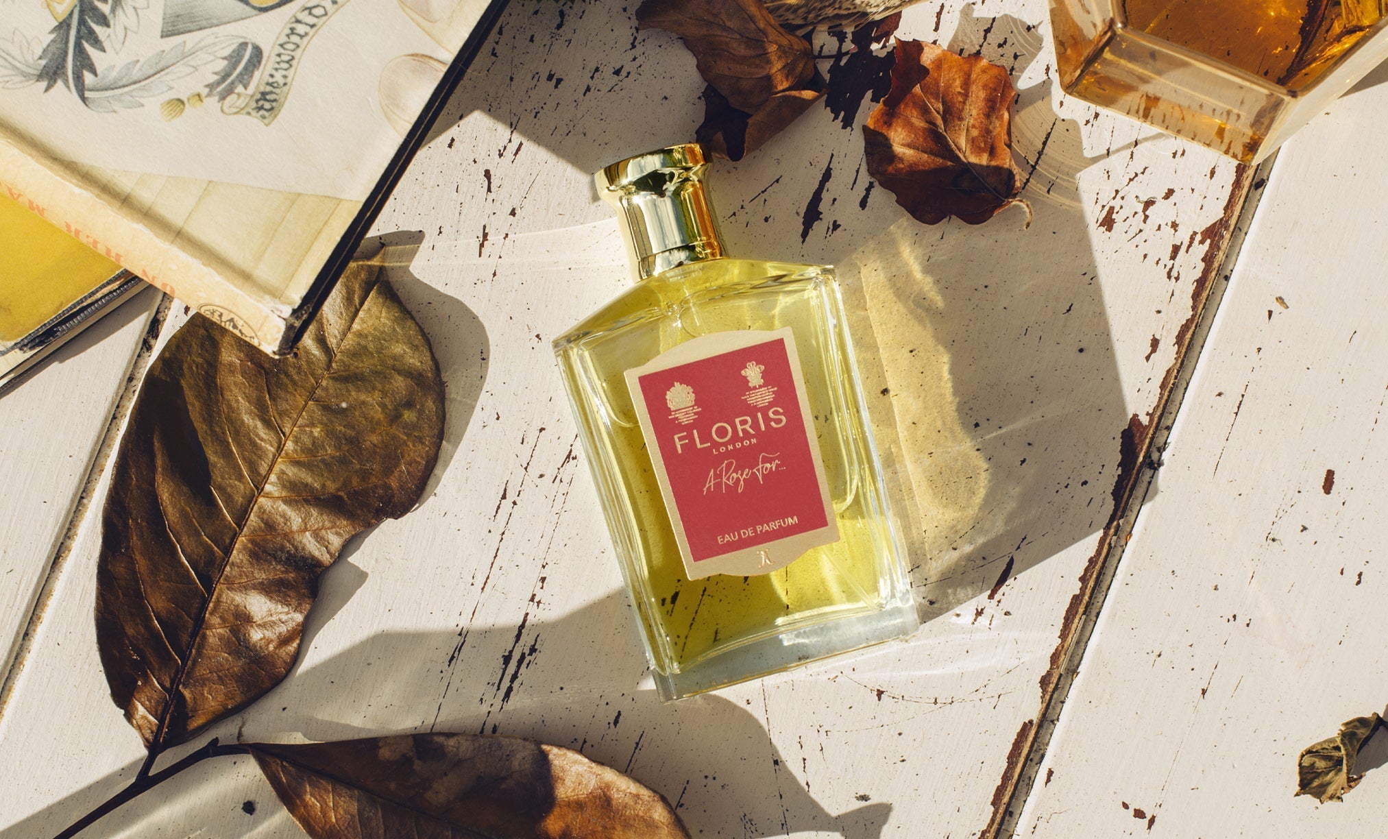 The Best Autumn Perfumes | Floris London UK